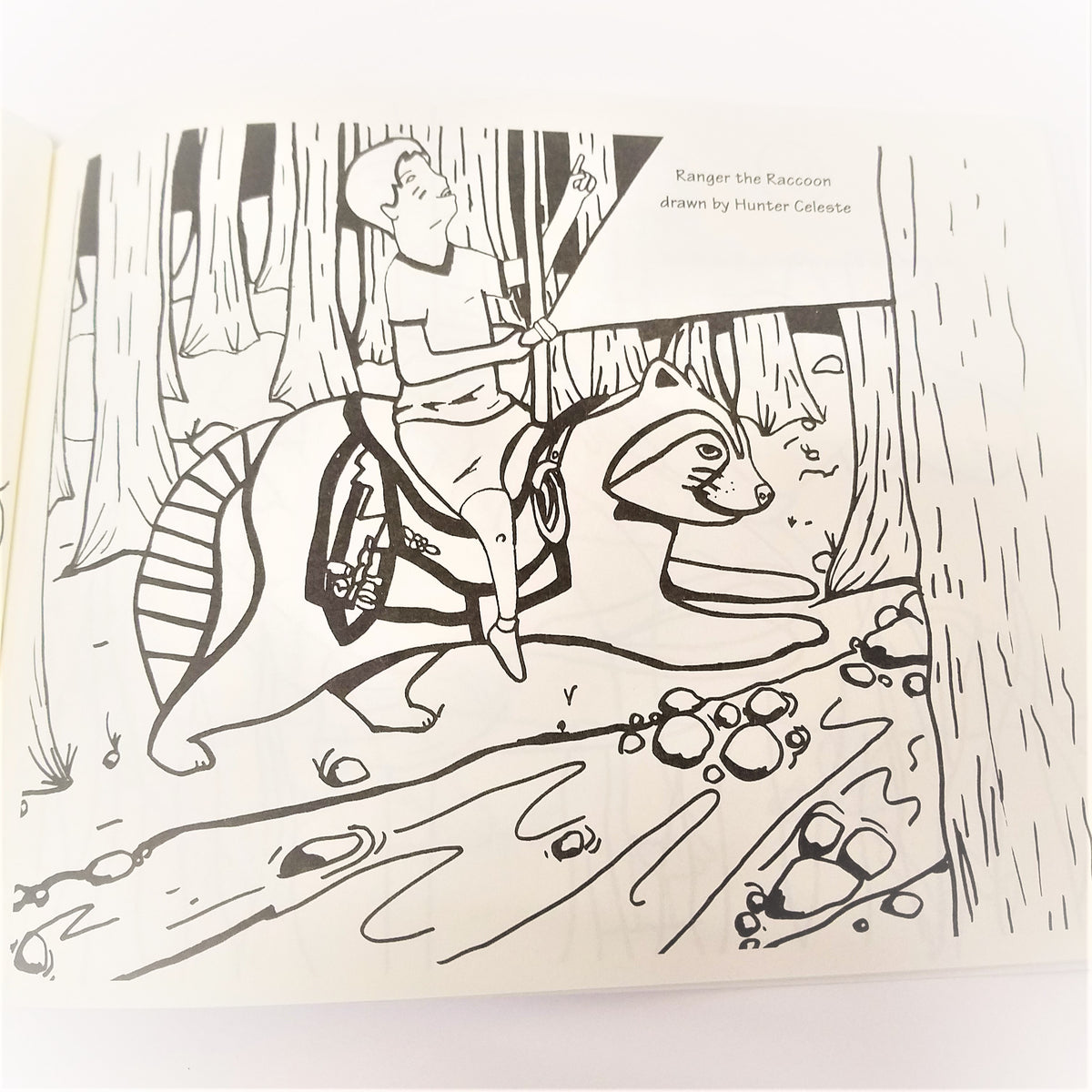 carousel coloring book